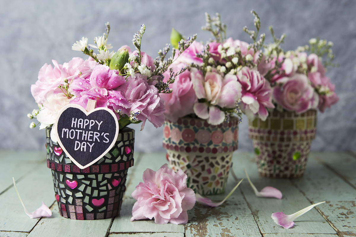 Mother's Day Flowers: A Guide to the Most Loved Varieties